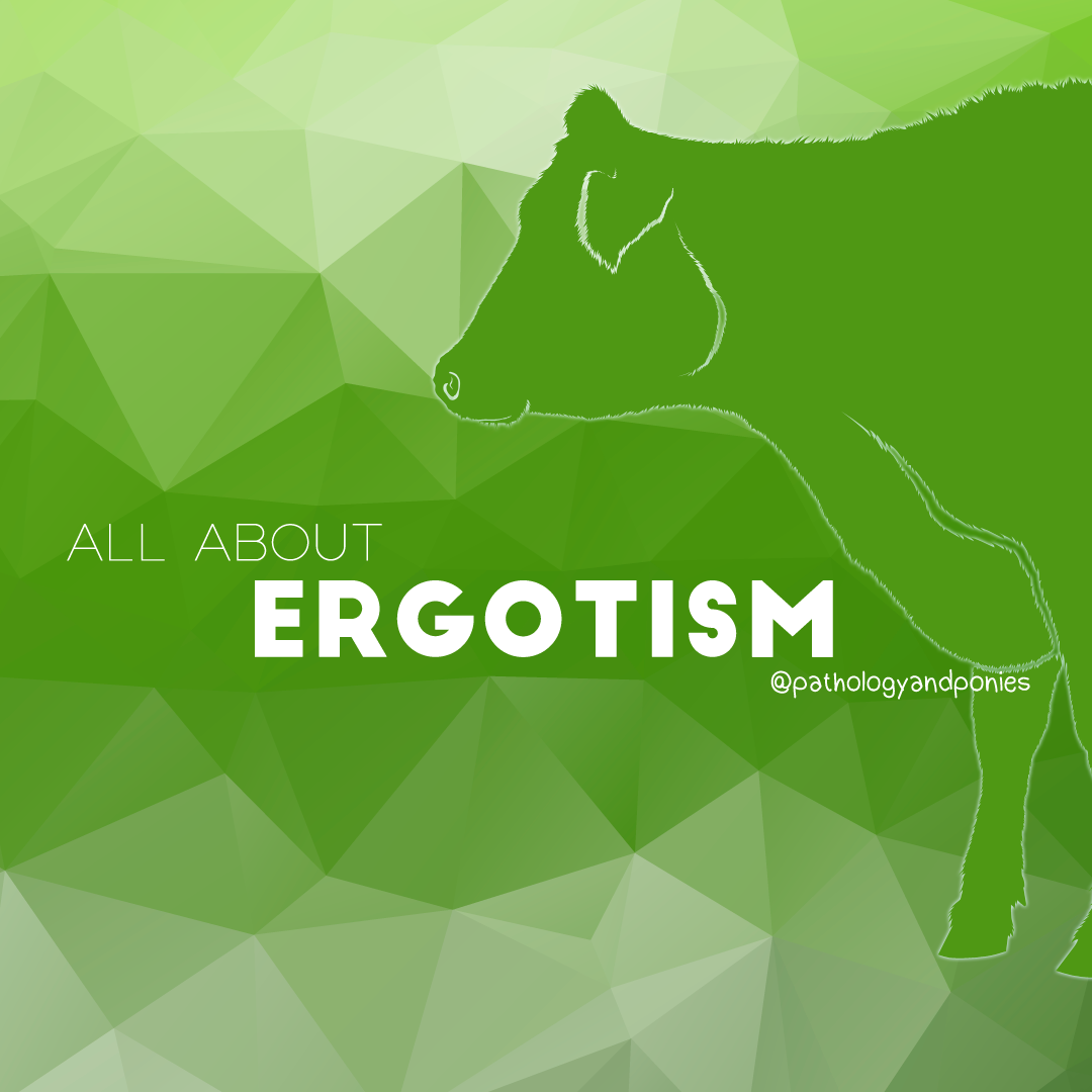 Ergotism - Pathology and Ponies