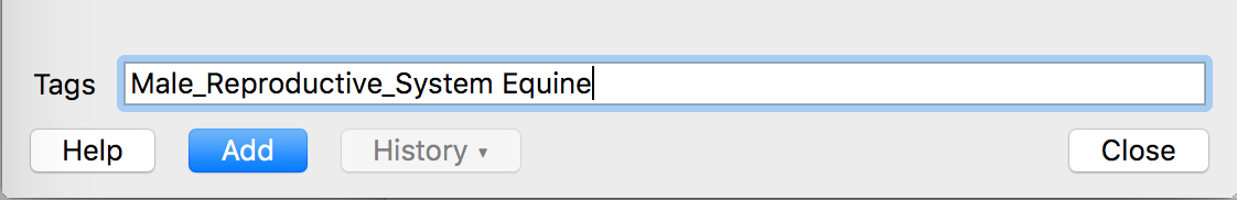 Anki How-To Guide - Pathology and Ponies