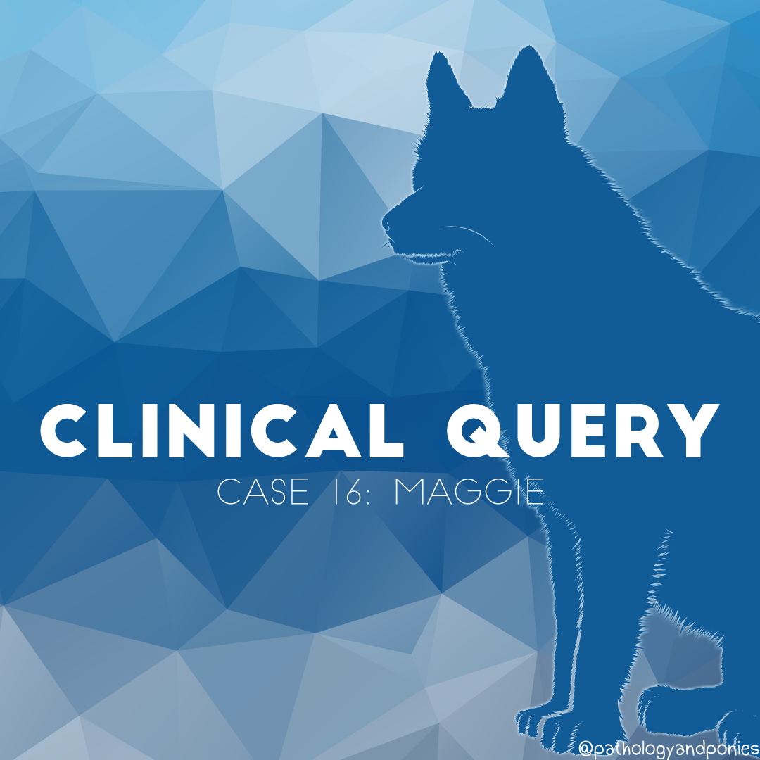 Pathology and Ponies - Plain-language pathology articles on interesting ...