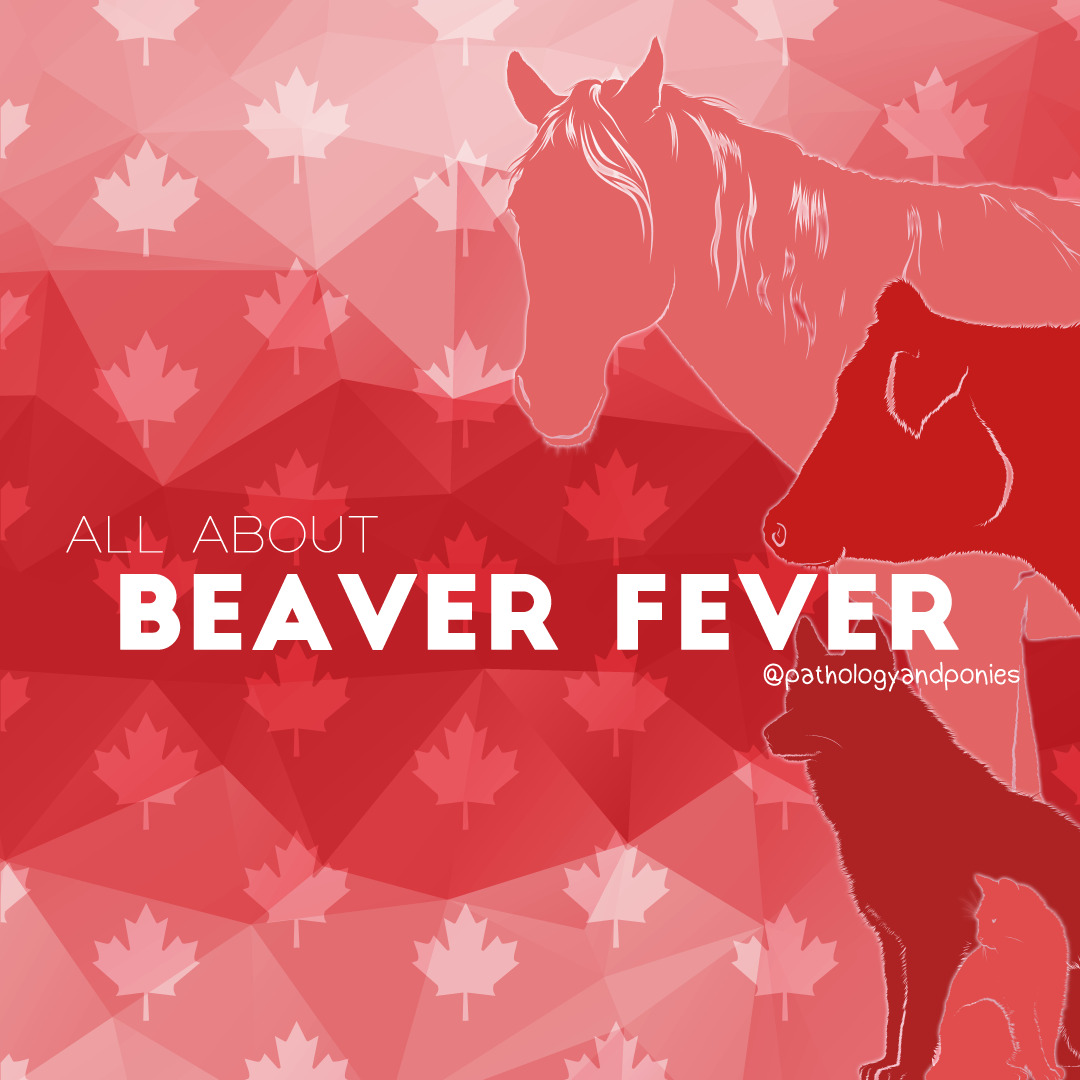 Beaver Fever - Pathology and Ponies