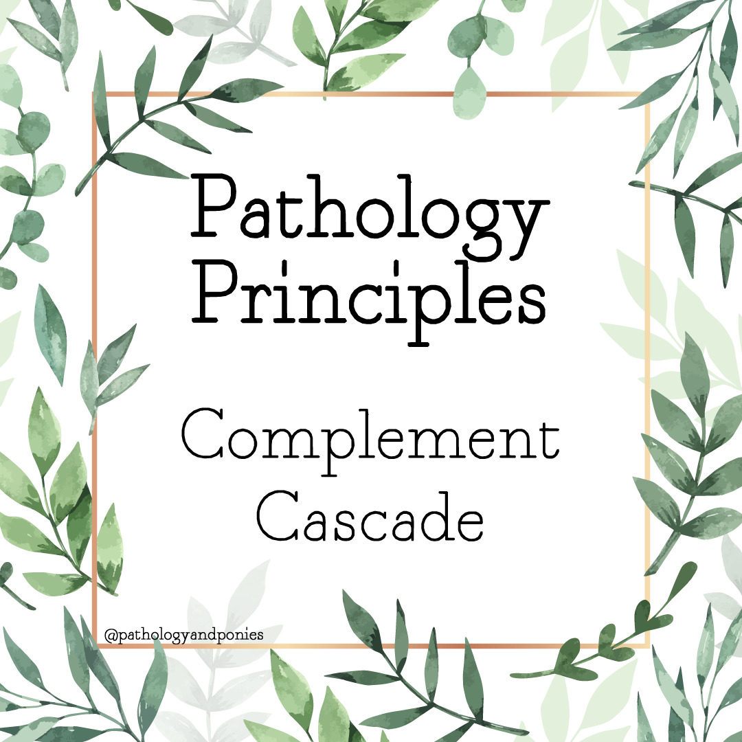 Complement Cascade Pathology And Ponies