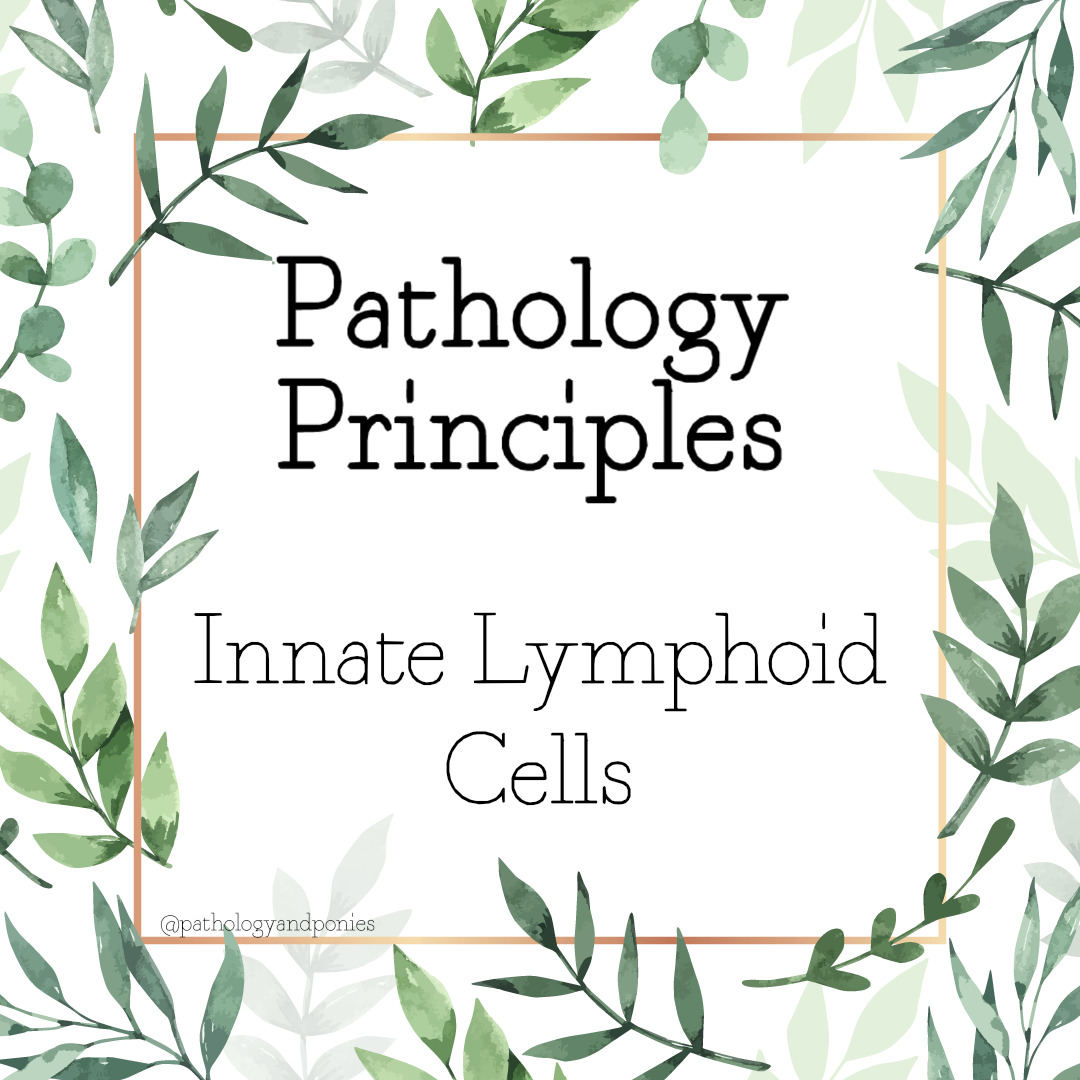 Innate Lymphoid Cells - Pathology and Ponies